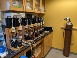 The Lab | Joe Tamborski